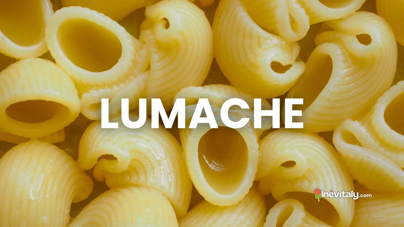 30 shapes of PASTA 🍝 Learn how to say them right, what their names mean ...